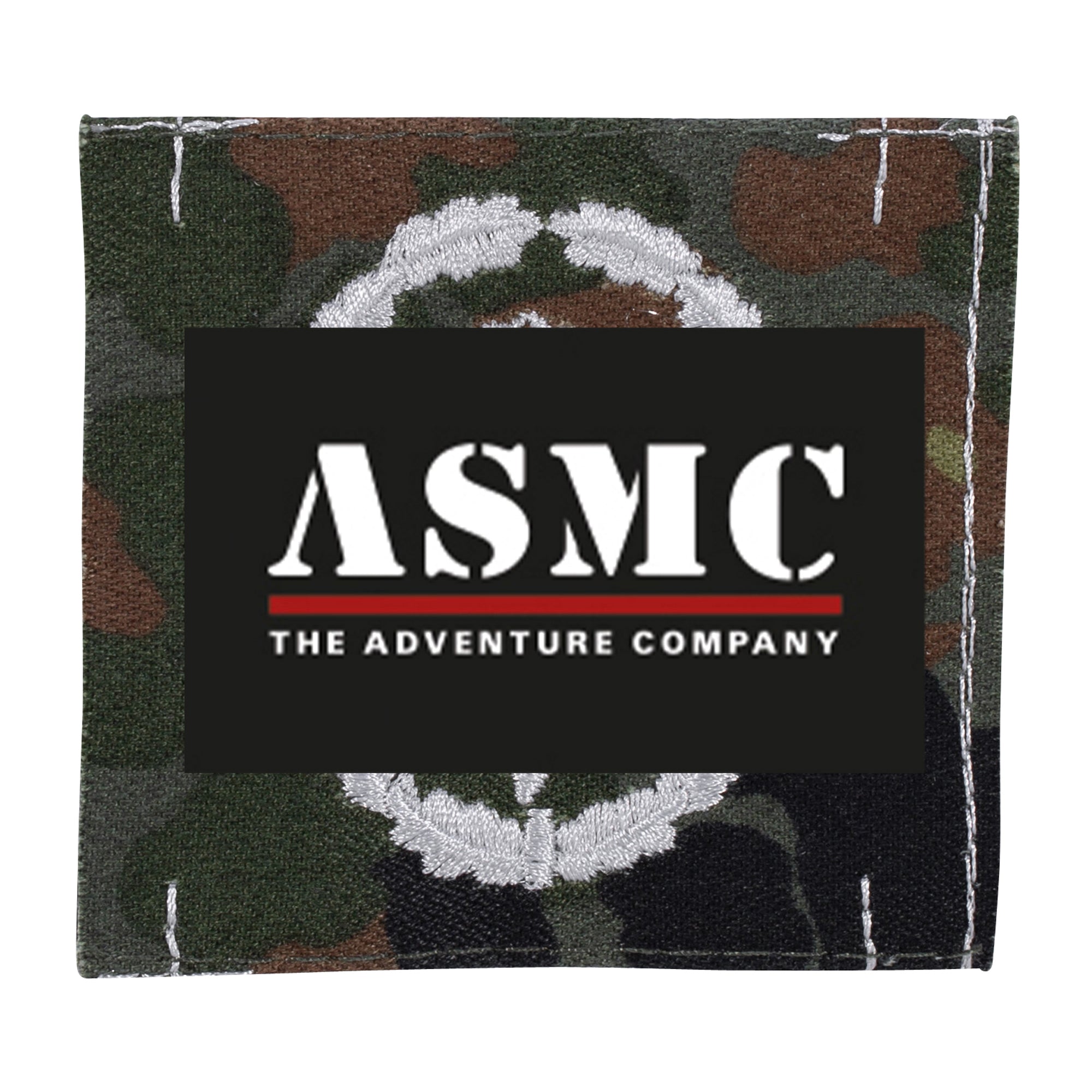 Insigne BW badge de compétence Flecktarn – ASMC Frankreich